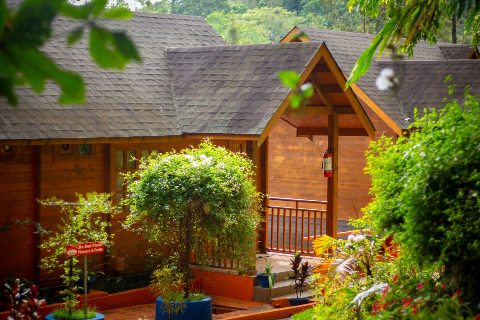 Saket: The Ultimate Guide to South Delhi’s Prime Locality