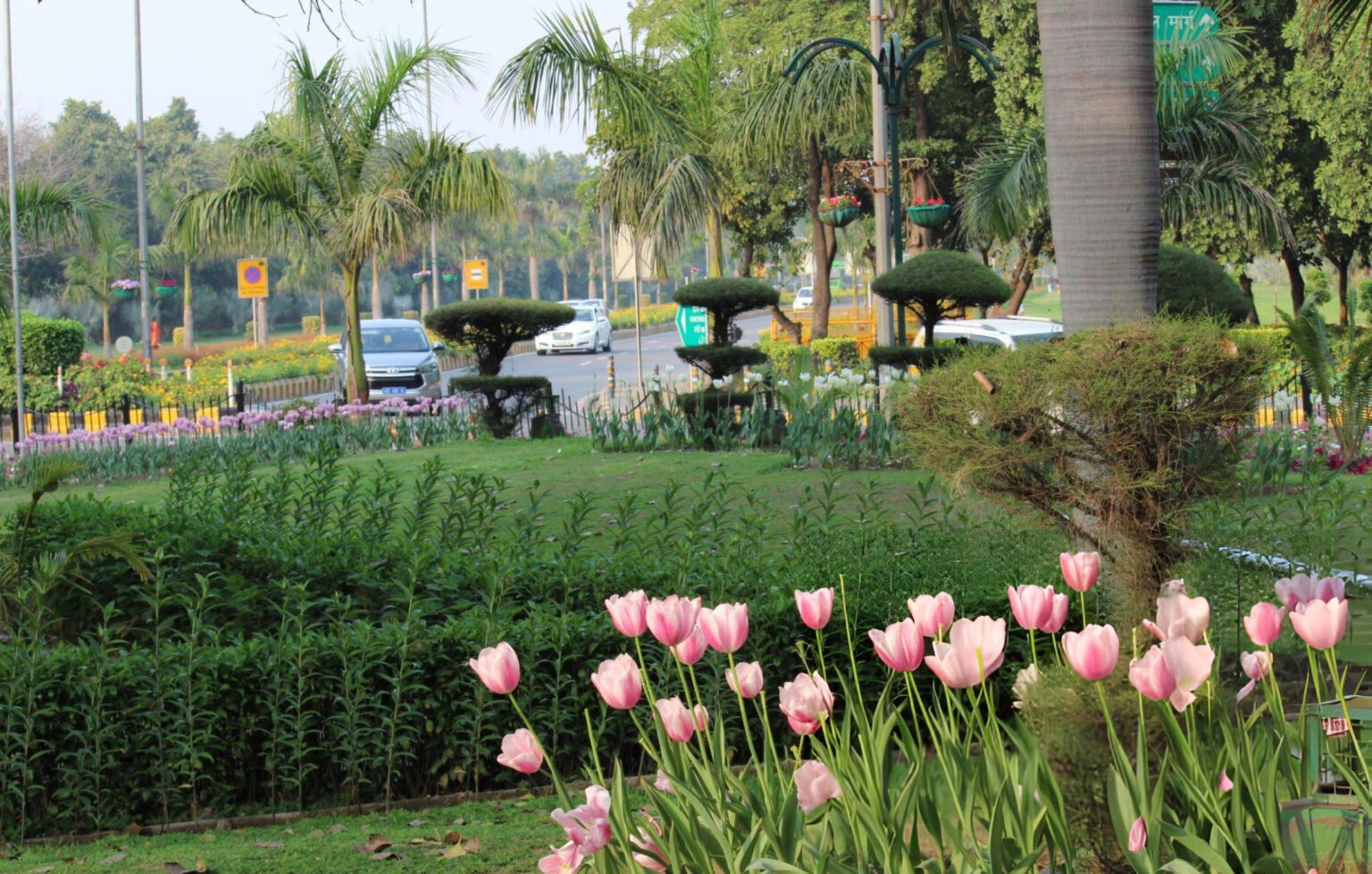 The Most Exclusive Neighborhoods in South Delhi